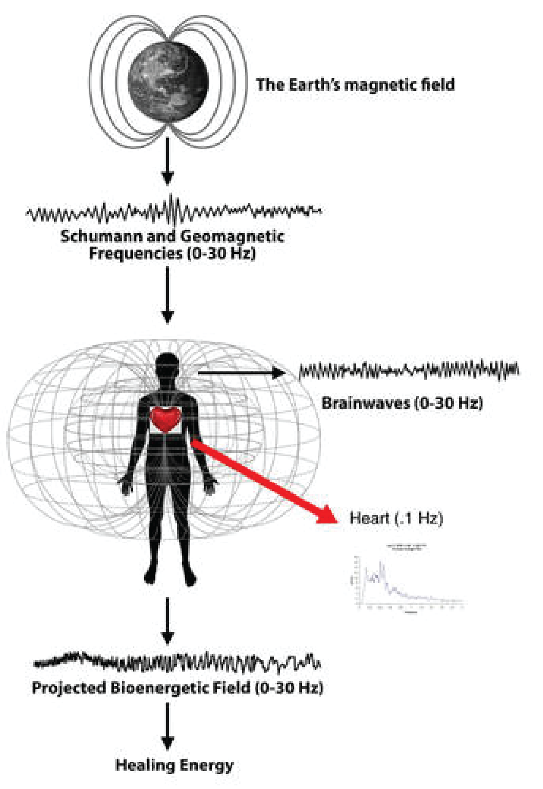 What is PEMF? - Official Website for iMRS2000